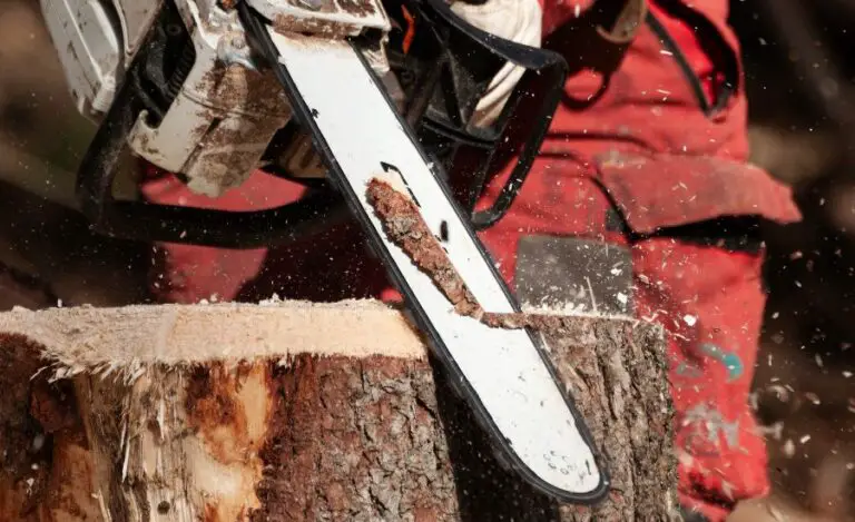 How To Remove A Stump With A Chainsaw: Best 9 Helpful Steps