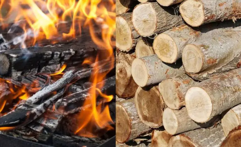 Is Poplar A Good Firewood: Top 5 Types & Basic Pros | Cons